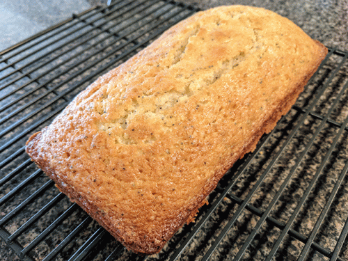 cool-on-cooling-rack - Bread by the Hour