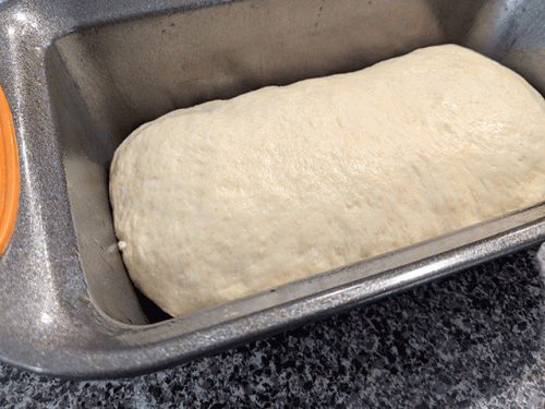 transfer-to-pan - Bread by the Hour