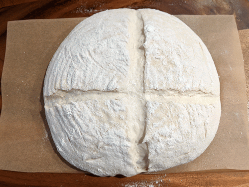 scored-dough - Bread by the Hour